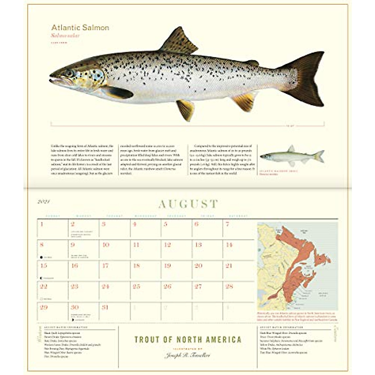 Trout of North America Wall Calendar 2021