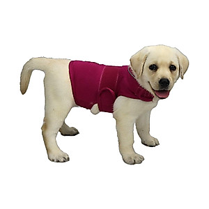 cattamao Comfort Dog Anxiety Relief Coat, Dog Anxiety Calming Vest Wrap for Thunderstorm,Travel,4th of July Fireworks,Vet Visits,Separation Anxiety Relief for Dogs (S, Rose)