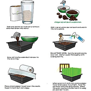 Handy Pantry Organic Cat Grass Kit - Includes 3 Trays, Soil Pucks, and 3 Packs Non GMO Wheatgrass Seed - A Healthy Treat For Cats, Dogs, Rabbits, More