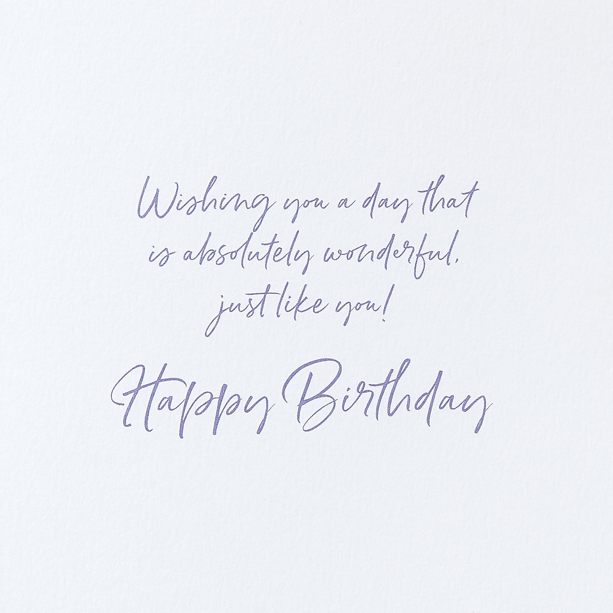 Papyrus Birthday Card (Absolutely Wonderful)