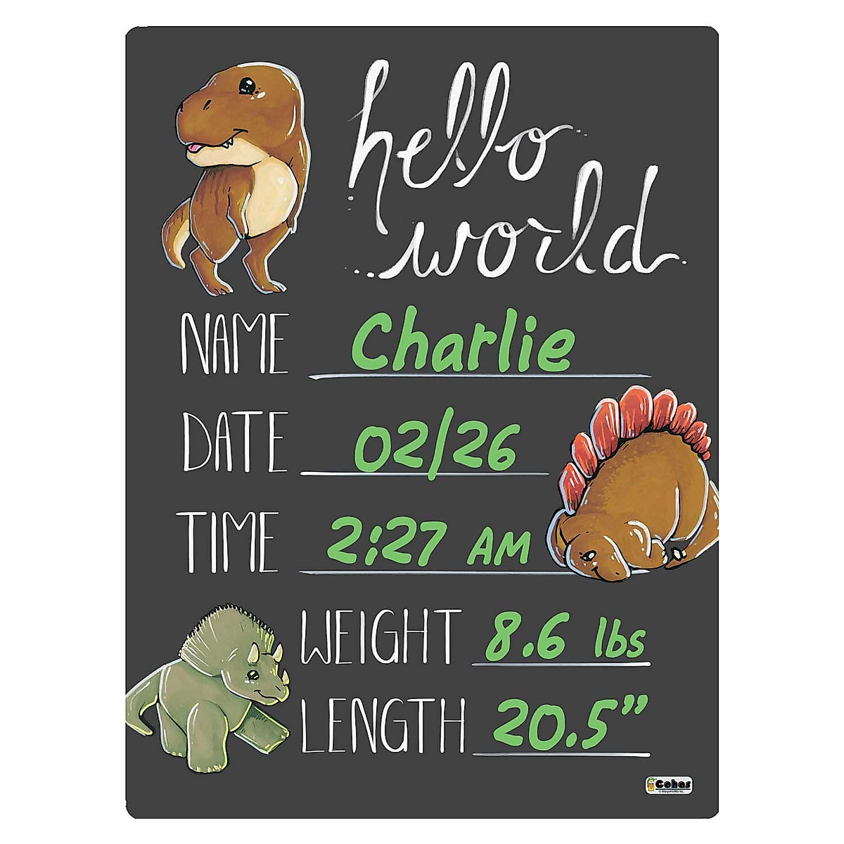 Cohas Hello World Newborn Baby Announcement Chalkboard Sign with Dinosaur Theme, 5 by 7 Inches, Green Marker