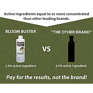 Bloom Buster Algae Control for Fish Ponds & Water Gardens - 8 Ounces - Safe for Koi Fish, Goldfish & Plants - Controls Algae in Ponds & Water Features, EPA Registered