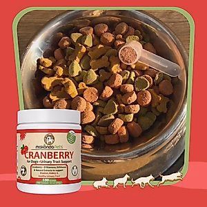 Dog Cranberry Supplement - Natural Dog UTI Treatment & Kidney Support for Dogs. Dog Supplement Powder Same as Cranberry Pills for Dogs. Puppy Supplies for Dog Pee Health - Dog Incontinence Product