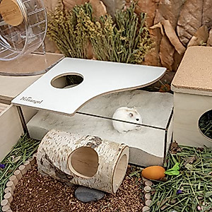 Niteangel Training Litter Potty Sand - Hamster Sand Bath for Syrian Dwarf Hamsters Gerbils Mice Lemming Degus or Other Small-Sized Pets ((1.4 L X 2 - Blue Label)