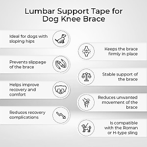 Ortocanis - Knee Brace Fastening Belt for Dog - Prevents Slippage - Improves Stability and Recovery - Size Harness + Leash: L 69-96 cm