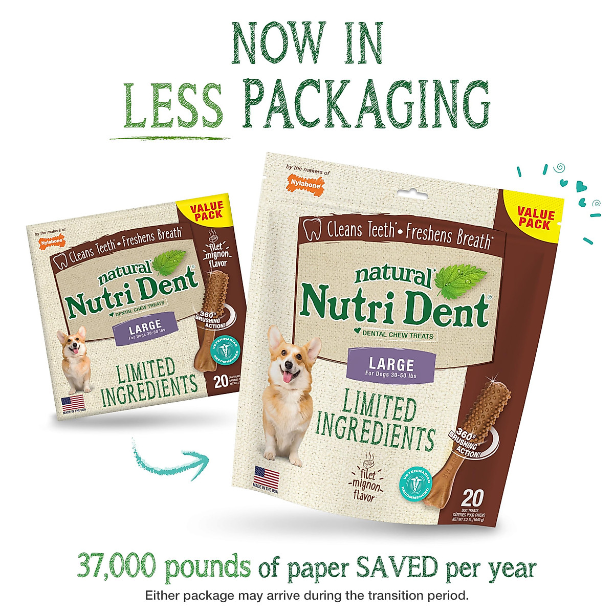 Nylabone Nutri Dent Dog Dental Chews - Natural Dog Teeth Cleaning & Breath Freshener - Dental Treats for Dogs - Filet Mignon Flavor, Large (20 Count)