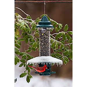 Weather Guard for Squirrel Buster Plus Bird Feeder (FEEDER NOT INCLUDED)