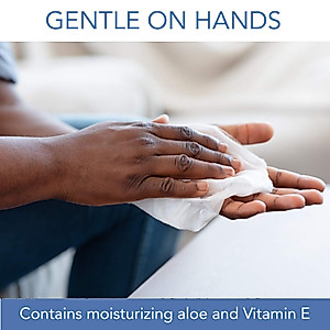 BUNZL Sani Professional P92084 Sani-Hands 300 Ct. Hand Wipes - 6 / CS