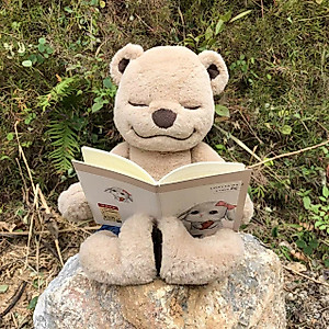 Meddy Teddy The Yoga Bear