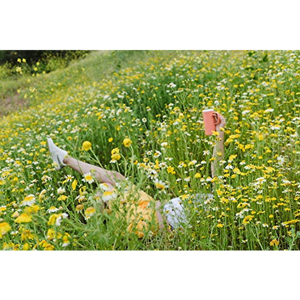 Ello Campy Vacuum Insulated Travel Mug with Leak-Proof Slider Lid and Comfy Carry Handle, Perfect for Coffee or Tea, BPA Free, Georgia Peach, 18oz