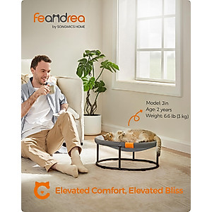 Feandrea Pet Bed, Cat Hammock, Elevated Cat Bed for Multiple Cats, with Removable Washable Mesh, for Pets up to 20 lb, Oval, Gray UPCB001G01