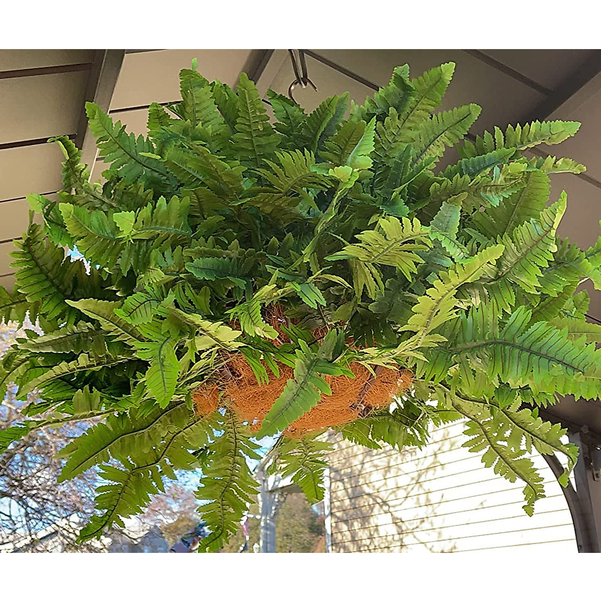 LSKYTOP 4 Pack Artificial Ferns Plants 16Inch Artificial Shrubs Boston Fern Bush Plant Silk Ferns Leaves UV Protected for Home Kitchen Garden Wall Decor Indoor Outdoor Use(Pot is not Include)