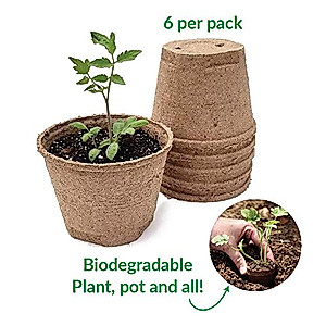Ferry Morse Jiffy-Pots Organic Seed Starting 5" Biodegradable Peat Pots, 6 Count, 4-Pack