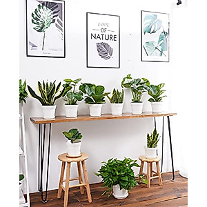 HOMENOTE Pots for Plants, 15 Pack 6 inch Plastic Planters with Multiple Drainage Holes and Trays - Plant Pots for All Home Garden Flowers Succulents (White)