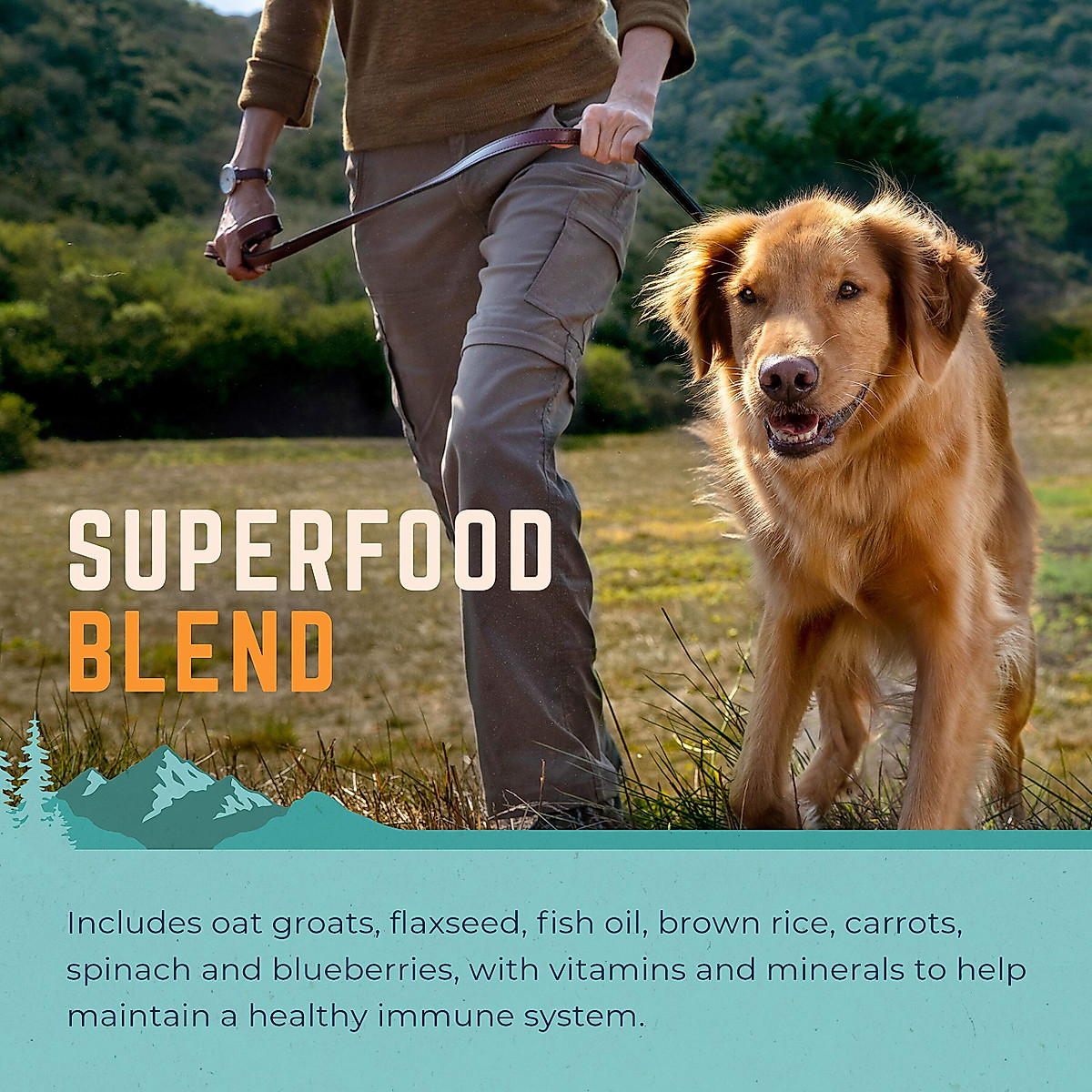 Natural Balance Original Ultra Chicken & Barley Small-Breed Bites Dry Dog Food 11 Pound (Pack of 1)