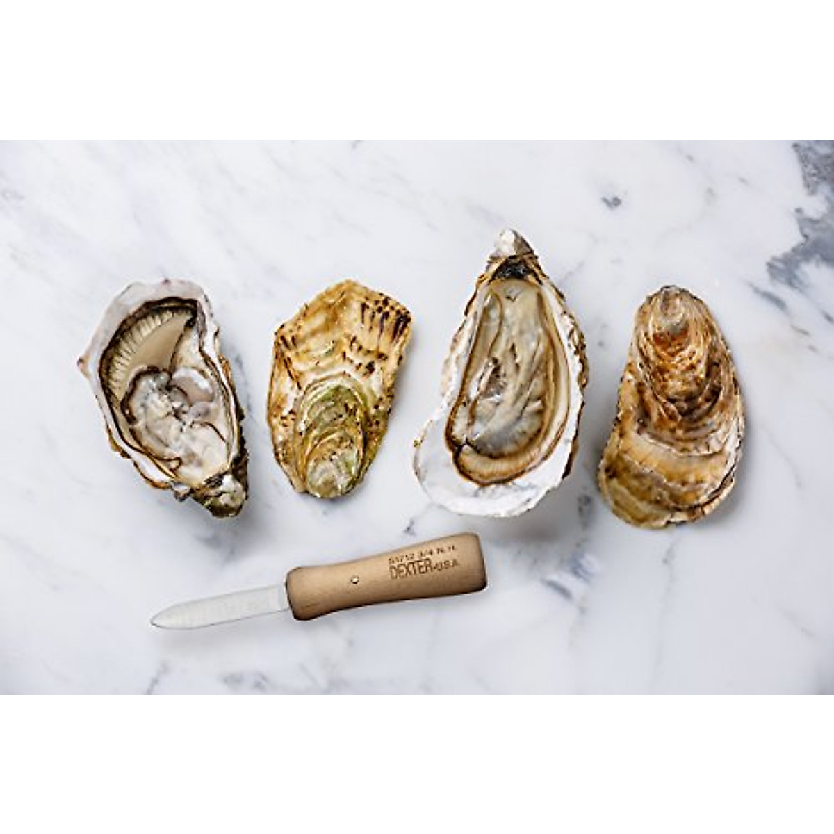 Dexter-Russell 2.75-inch Oyster Knife, New Haven pattern, Metallic