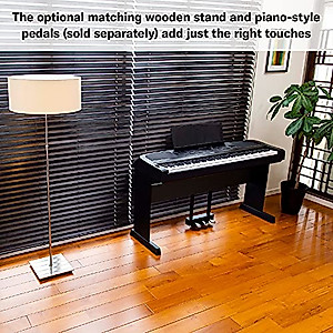 Yamaha, 88-Key Digital Pianos-Home (DGX670B)