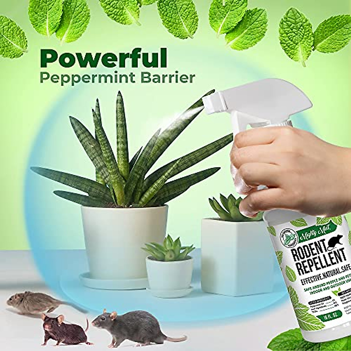 Mighty Mint 8 oz Peppermint Rodent Repellent Concentrate - Makes 1 Gallon - Natural Spray for Rats, Mice, and More