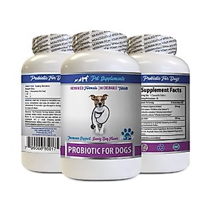 PET SUPPLEMENTS Dog Digestive Support - PROBIOTICS for Dogs - Healthy Gut - Stop Gas Diarrhea and Bad Breath - Digestive Boost - Dog probiotics chewables - 1 Bottle (60 Treats)