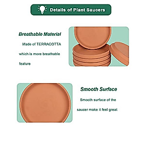 4 Inch Small Terracotta Pot Plant Saucer - 6 pcs Small Round Plant Pot Saucers, Small Clay Plant Trays Perfect for 3 Inch 3.5 Inch 4 Inch Flower Pot with Drainage Hole and Great for Indoor or Outdoor