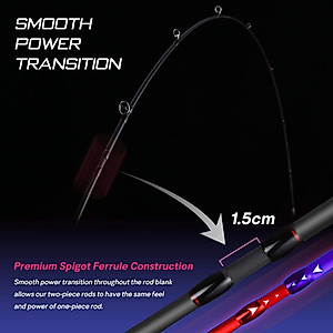 Seaknight Kraken 2-pc Fishing Rods, 30T-40T X-Shaped Carbon Fiber, Fuji Guides for Bass Fishing