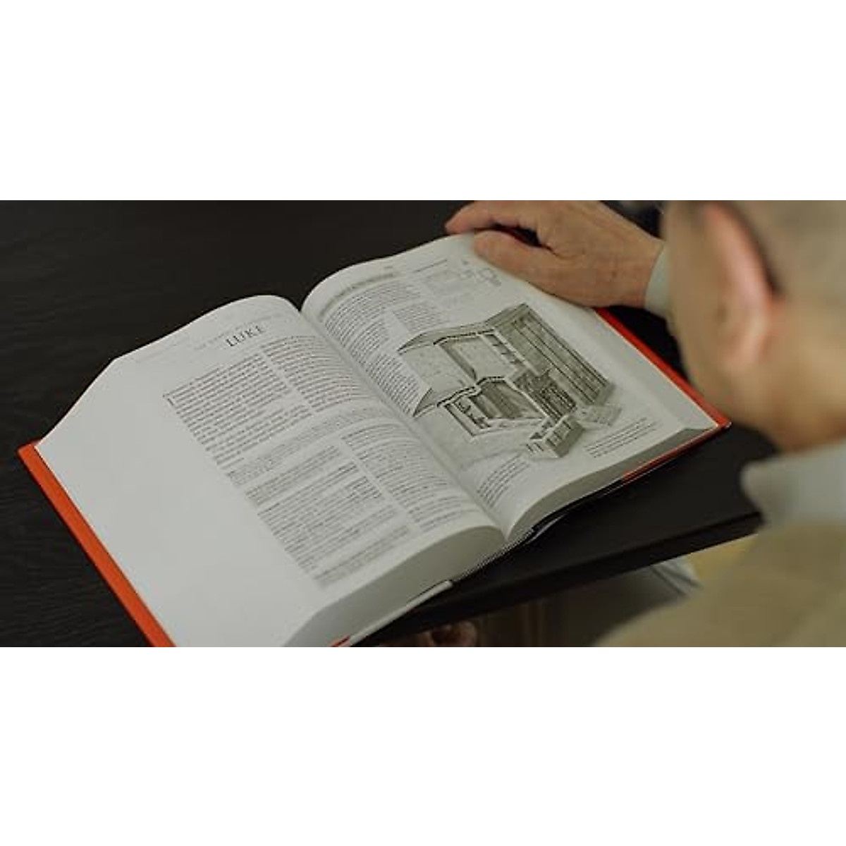 ESV Study Bible, Large Print