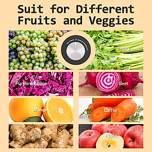 whall Slow Juicer, Masticating Juicer, Celery Juicer Machines, Cold Press Juicer Machines Vegetable and Fruit, Juicers with Quiet Motor & Reverse Function, Easy to Clean with Brush,BPA Free,Black