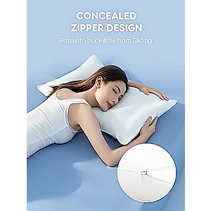 Mulberry Silk Pillowcase for Hair and Skin, SGMSILK 22 Momme Natural 6A Silk Pillow Case with Zipper Soft Texture, Single Sided Washable Pure Silk Pillow Cover(White, Standard 20"x26")