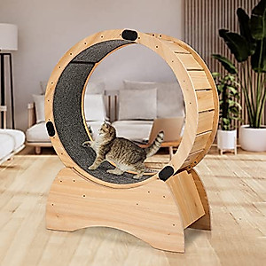Hooseng Cat Exercise Wheel, Cat Treadmill with Carpeted Runway and Noiseless Roller, Cat Running Wheel for Pet Loss Weight and Daily Exercise