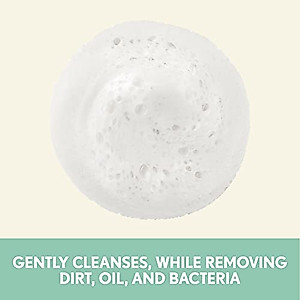 Aveeno Clear Complexion Foaming Oil-Free Facial Cleanser with Soy Extract & 0.5% Salicylic Acid, Acne Treatment Face Wash for Acne-Prone Skin, Sulfate-Free & Hypoallergenic, 6 fl. oz