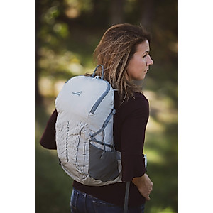 ALPS Mountaineering Canyon 20L, Gray/Gray, 20 Liters
