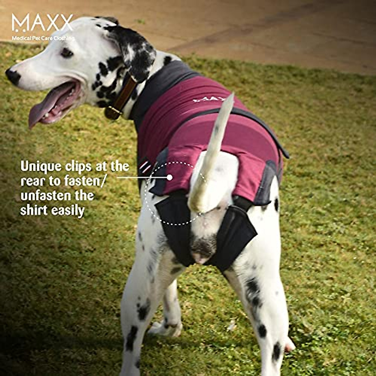 MAXX Recovery Suit for Dogs, E Collar Alternative, Post-Operative Onesie by Vet (Ruby Red Grey, M+)