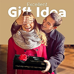 Madaiko Zen Garden for Desk - Mini Zen Garden Kit, Office & Home Decor Accessories, Japanese Zen Sand Garden, Meditation Gifts, Sand & Rock Tray Therapy