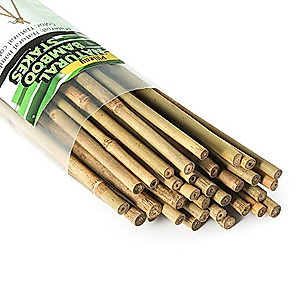 Pllieay 25 Pieces Bamboo Stakes Garden Stakes for Indoor and Outdoor Gardening Plant Supports, 2 Feet