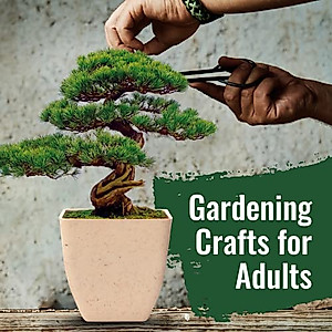 Indoor Bonsai Tree Kit - Bonsai Tree Starter Plant Kit + Bonsai Seeds Gift Sets - Arts and Crafts DIY Kits for Adults, Unique Gardening Gifts for Women & Men, Plant Lovers Gift Gardening Craft Kits