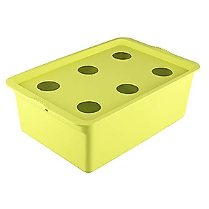 Homend DWC Deep Water Culture Hydroponic System Growing Kit, Medium Size w/Airstone, 6 Plant Sites (Holes) Bucket, Air Pump, Rockwool - Best Indoor Herb Garden for Lettuce, Mint, Parsley (6 Sites)