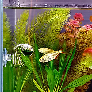 Dannisly CO2 Drop Checker Test Kit CO2 Clear Glass Capacity Monitor with Suction Cup for Aquarium Water Plant Fish Tank PH Test CO2 Kit