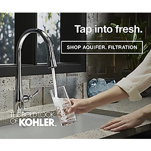 Kohler K-77688-NA Aquifer Replacement Filter Cartridge (2 Pack), 2 Count (Pack of 1), White