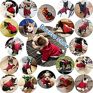 Jecikelon Winter Dog Hoodie Sweatshirts with Pockets Warm Dog Clothes for Small Dogs Chihuahua Coat Clothing Puppy Cat Custume (XX-Small, Wine red)