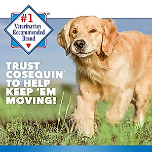 Cosequin DS Maximum Strength Plus MSM & Boswellia Joint Health for Dogs Tasty Soft Chews (120 Count)