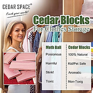 Cedar Space Cedar Blocks for Clothes Storage, 100% Aromatic Red Ceder Blocks, Cedar Planks, Cedar Accessories for Closets Storage, 16 Pcs
