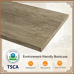 Tajsoon 3 Tier Tree Bookshelf, Small Bookshelf, Desktop Bookshelf Floor Standing Bookcase Display for CDs/Magazine/Books, Book Organizer Shelves for Bedroom, Living Room, Office, Greige