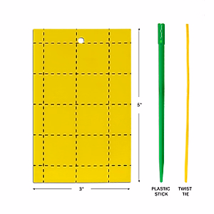 Catchmaster Outdoor Bug Trap Bundle, Japanese Beetle Trap 3-Pack & Yellow Sticky Trap 72-Pack, Flying Insect & Mosquito Traps for Backyard, Garden & Farm