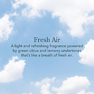 Beekman 1802 Goat Milk Hand Wash, Fresh Air - Scented - 8.9 oz - Cleanses, Softens & Nourishes Skin - Rinses Away Impurities - Good for Sensitive Skin - Cruelty Free