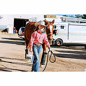 Silver Lining Herbs Horse Probiotic - Micro Encapsulated Probiotics for Equine Digestive Support and a Healthy Gut - Natural Source of Beneficial Bacteria and Enzymes - 7 lb Bag