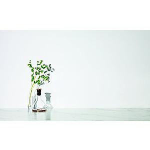 RBT Decanter with Wood Coaster and Micro-Perforated Aerator,Clear