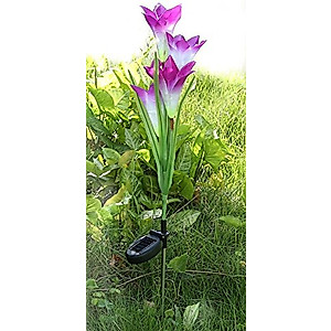 Outdoor Solar Flower Garden Stake Lights (2 Pack) Garden Lilly Flowers Multi Color LED Light Changing White and Purple Indoor-Outdoor