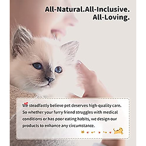 WUIPET Automatic Cat Feeders, Anti-Clogging Design Pet Dry Food Dispenser with Voice Recorder, Timed Cat Feeder with Desiccant Bag, Programmable Timer Pet Feeder - Up to 20 Portions 6 Meals Per Day