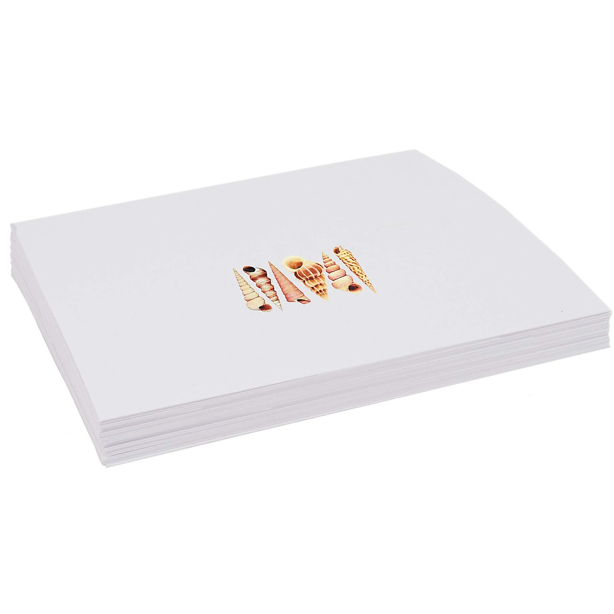 Seashell Pattern Place Cards, Set of 25, Pre-cut and Scored - Wedding, Party, Dinner, and Special Events - Made in the USA