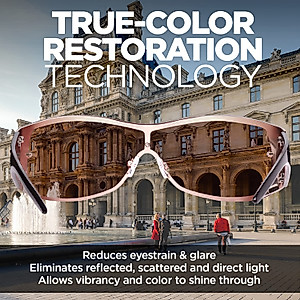 Verdster Sunglasses Womens - Oversized Sunglasses for Women – Ladies Trendy Sun Glasses Wraparound Non Polarized Sunnies – Large Y2K Shield Shades - Cosmo Brown